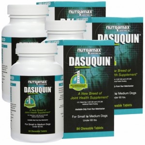Dasuquin For Dogs | Veterinary Place
