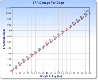 Omega-3 For Dogs | Veterinary Place