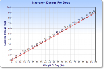Naproxen For Dogs | Veterinary Place