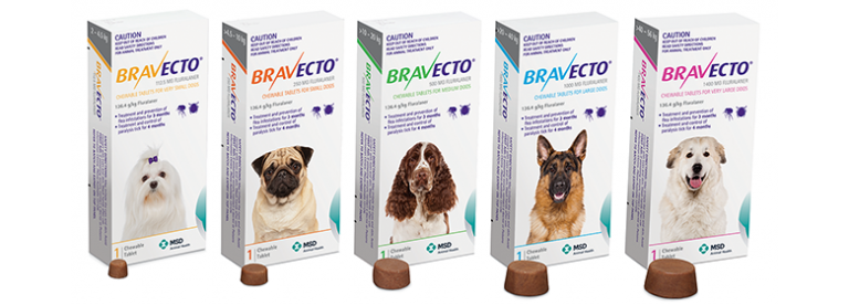 Bravecto for Dogs: What You Need to Know